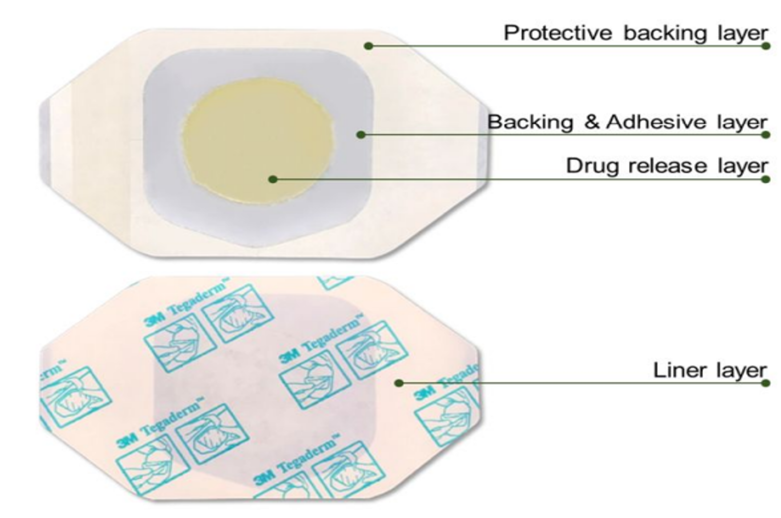 EngineLife – provides COCOON’s product research & development focus for ...
