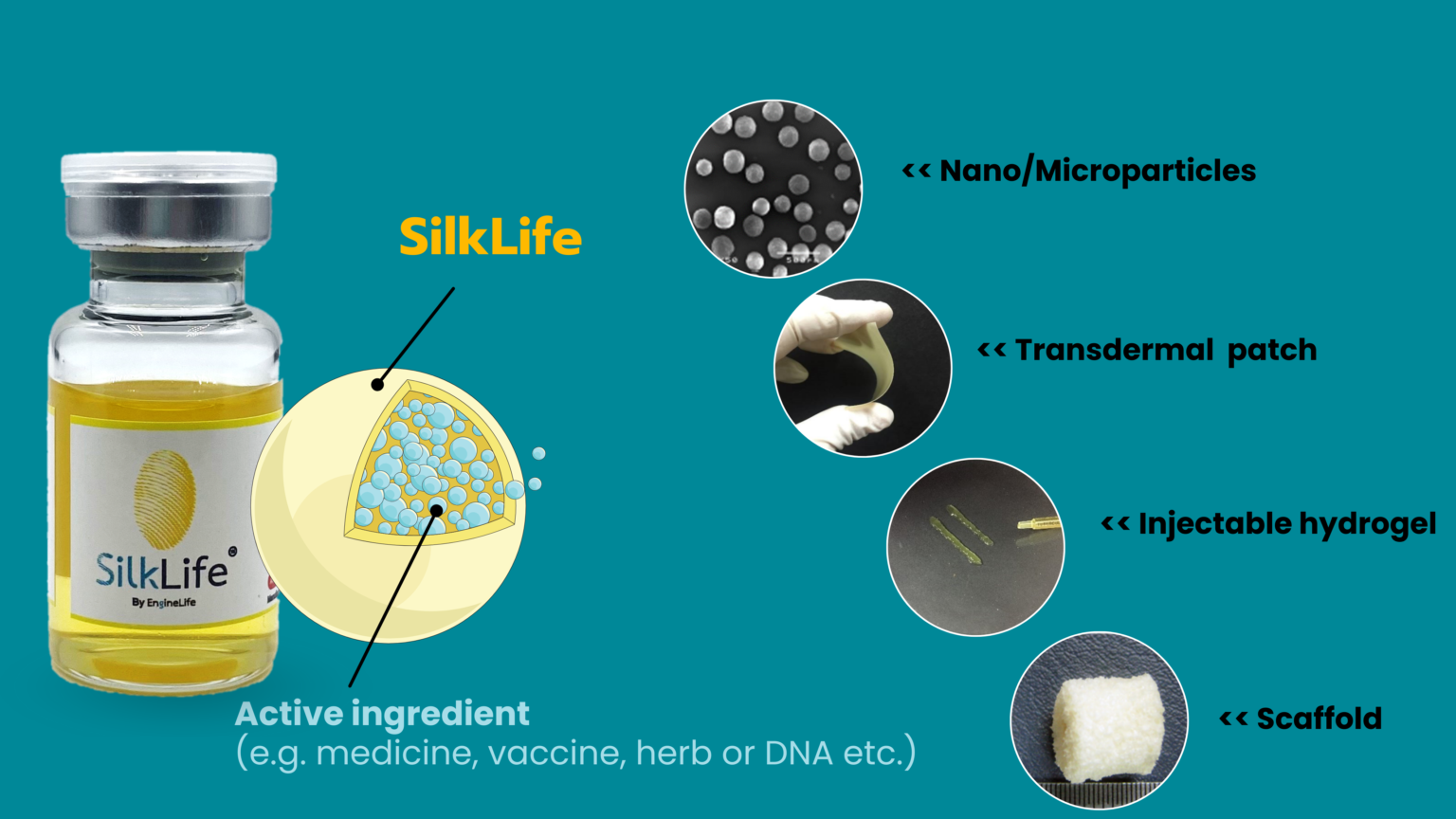 SilkLife - EngineLife